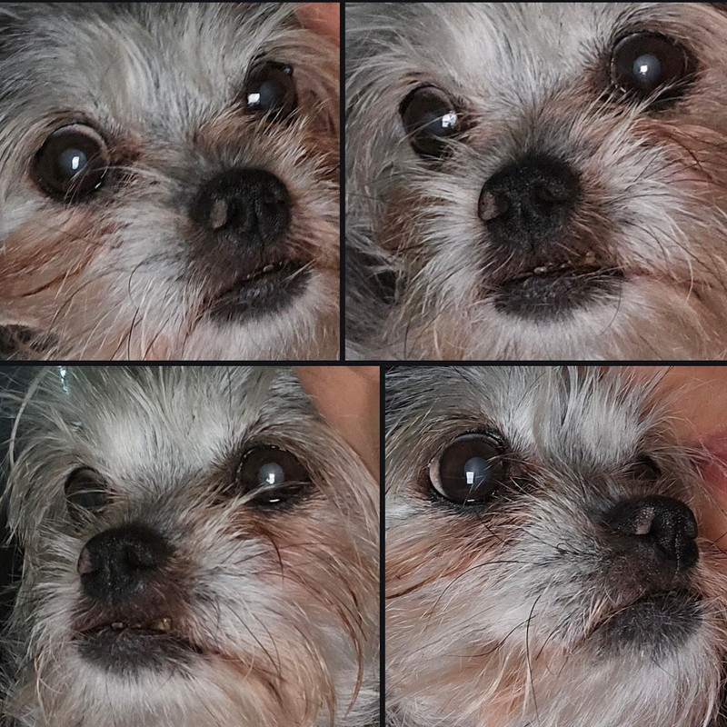 after — Postimages