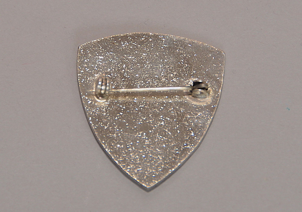 insignia de la Aviacion del Ejercito Argentino