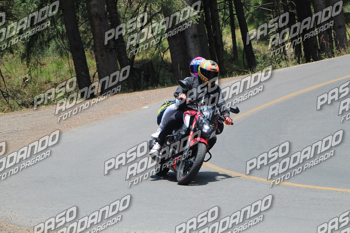 IMG 8408 wm 6892720 899999999 watermarked — Postimages