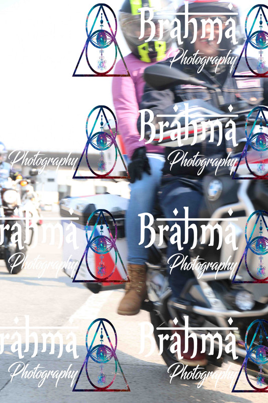 IMG 1216 — Postimages