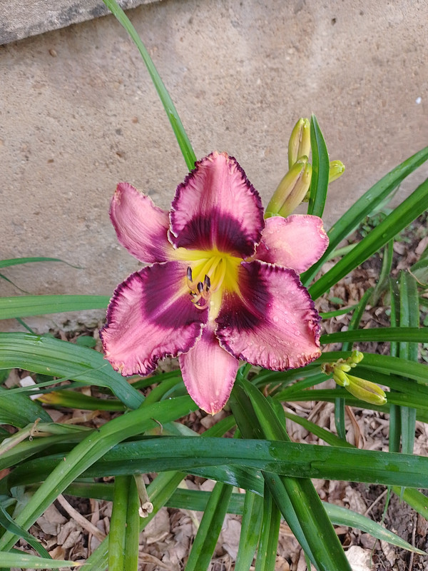 IMG 20230617 080739 — Postimages