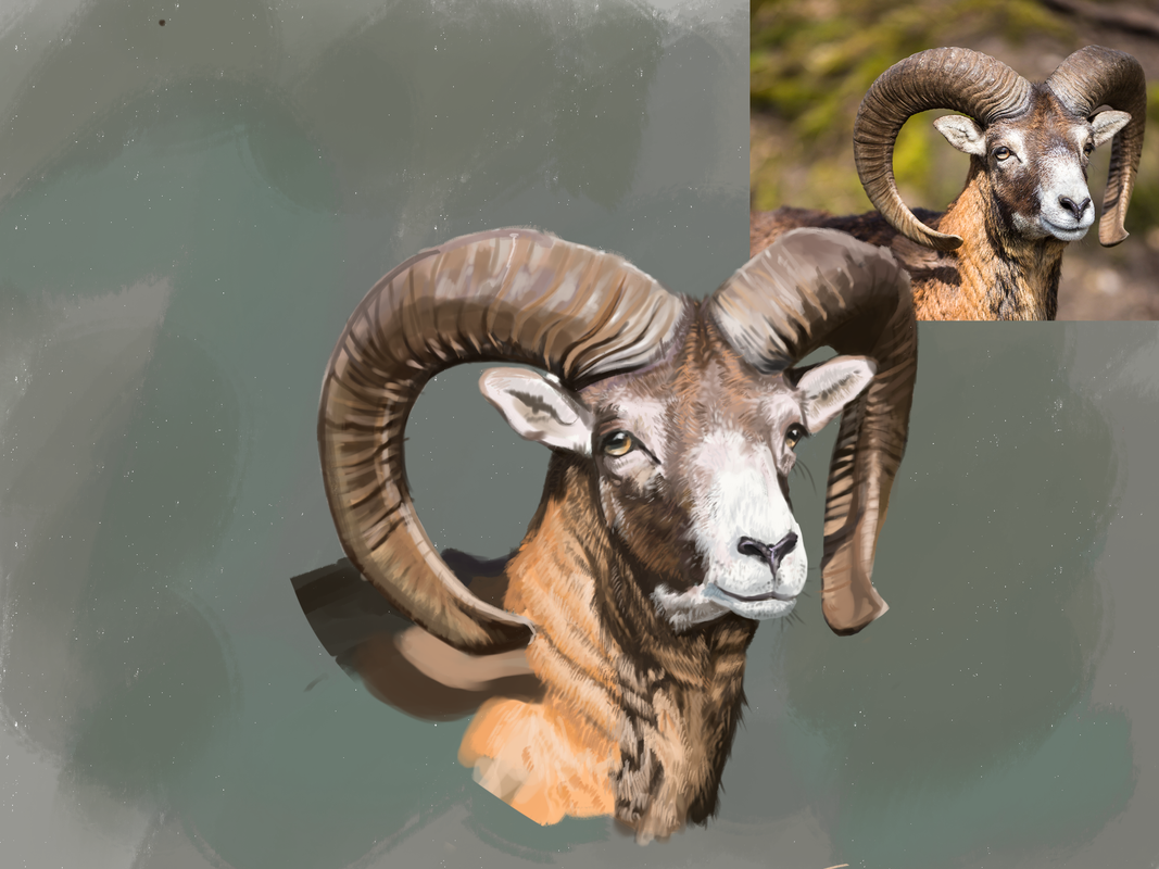 ramstudy psd — Postimages