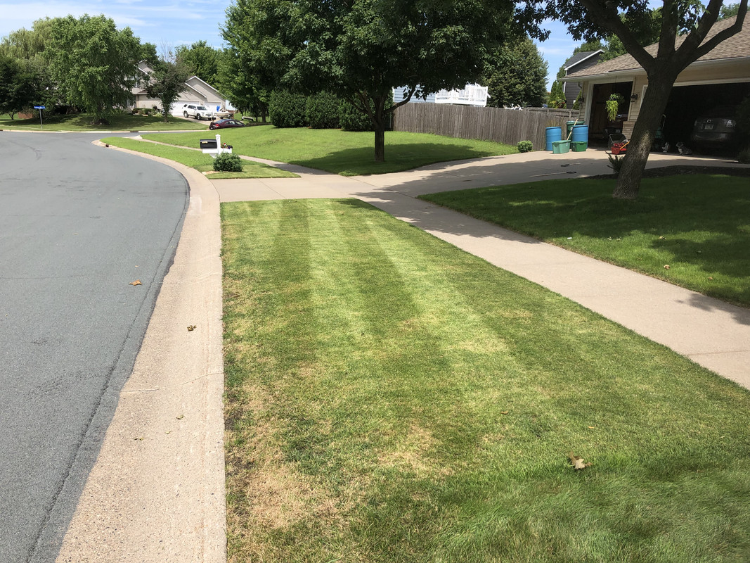 kainpj 2019 Lawn Journal - Mullet Lawn | Lawn Care Forum