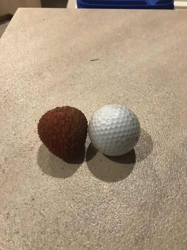 757 FD8 A7 6812 43 D6 8225 709 EE11 D1 EB6 — Postimages