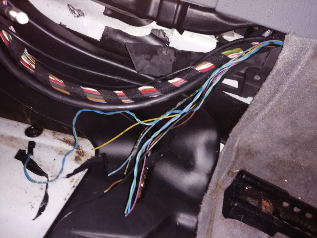 Help with wire identification | Mercedes-Benz Forum