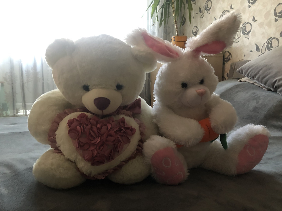 8 E4 F43 B4 B6 E0 4 Ccf 8 Dd9 42405 Df9191 C — Postimages