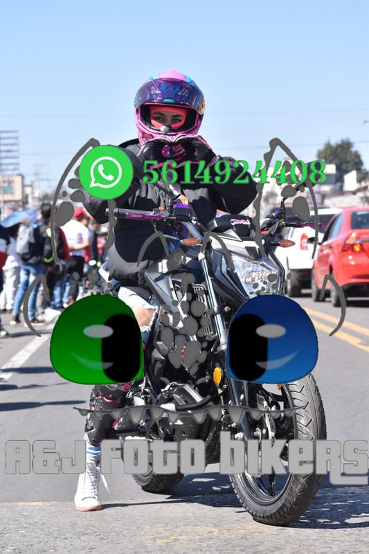 AVQ 2875 — Postimages