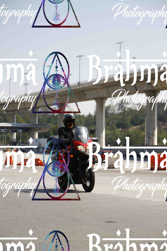 MG 1531 — Postimages