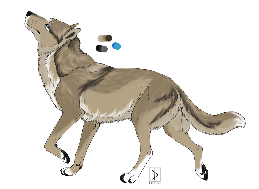 Evander Sheet — Postimages