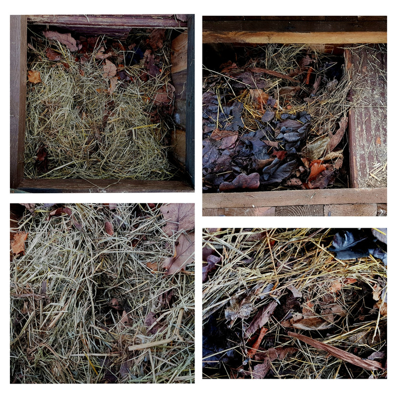 UK wild hedgehog nest or mouse nest? Pls suggest... : r/Hedgehog