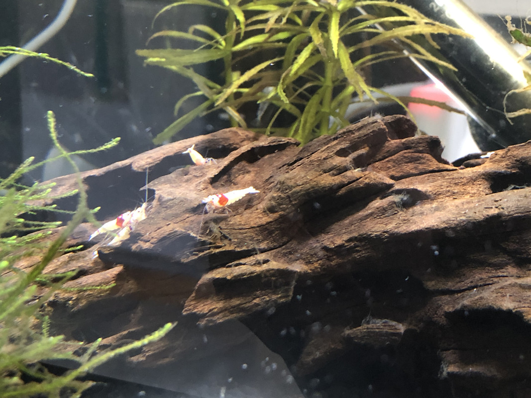 9600 E3 F9 907 C 45 Ed 9 Fb1 B541 A2 Bd16 B9 — Postimages