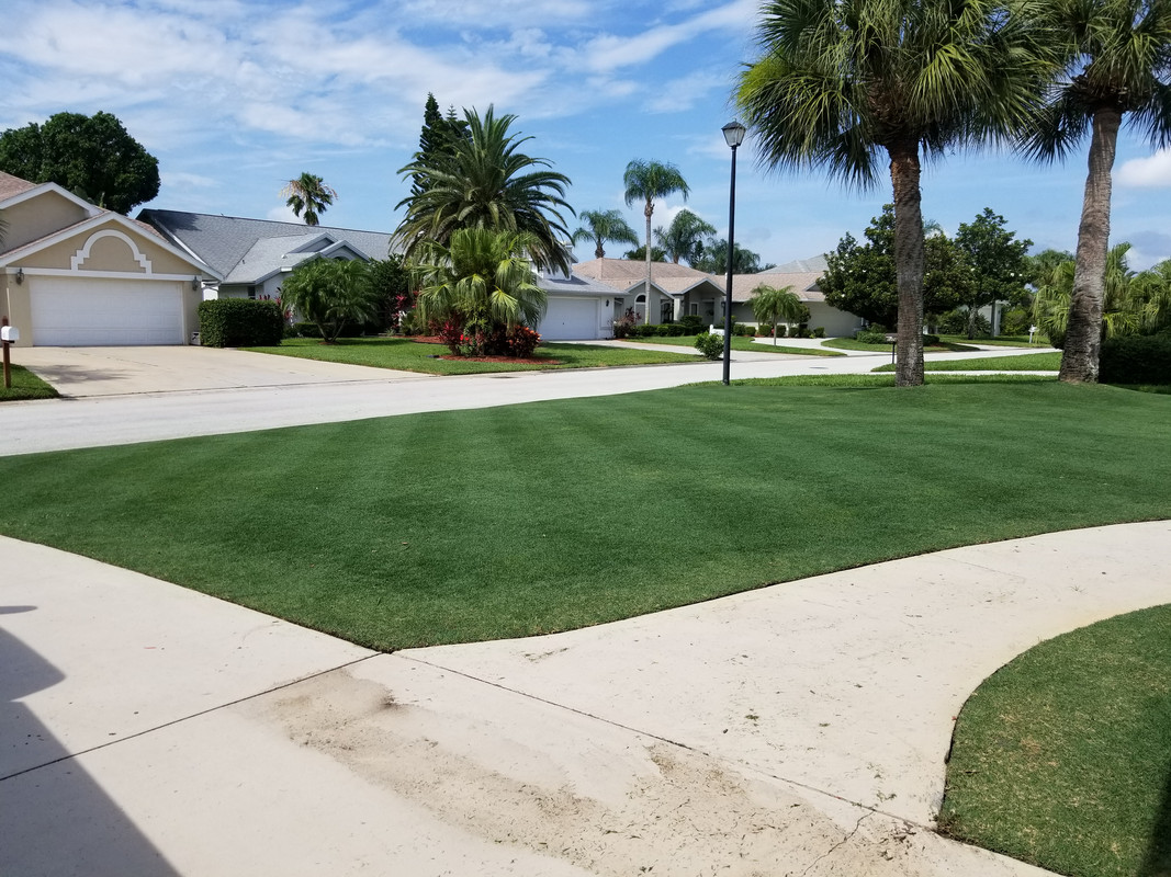 Central Florida Bermuda Lawns | Lawn Care Forum