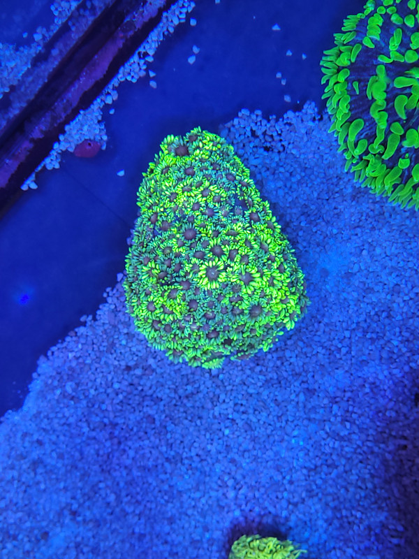 20220328 210355 — Postimages