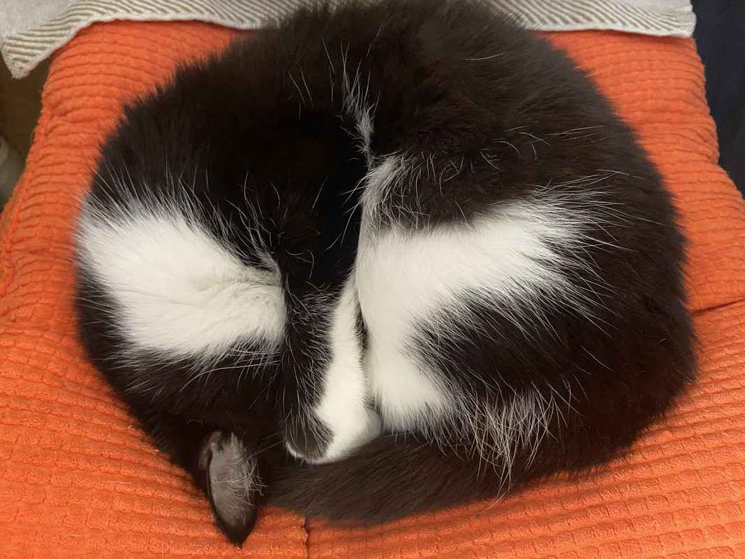 IMG 7373 — Postimages