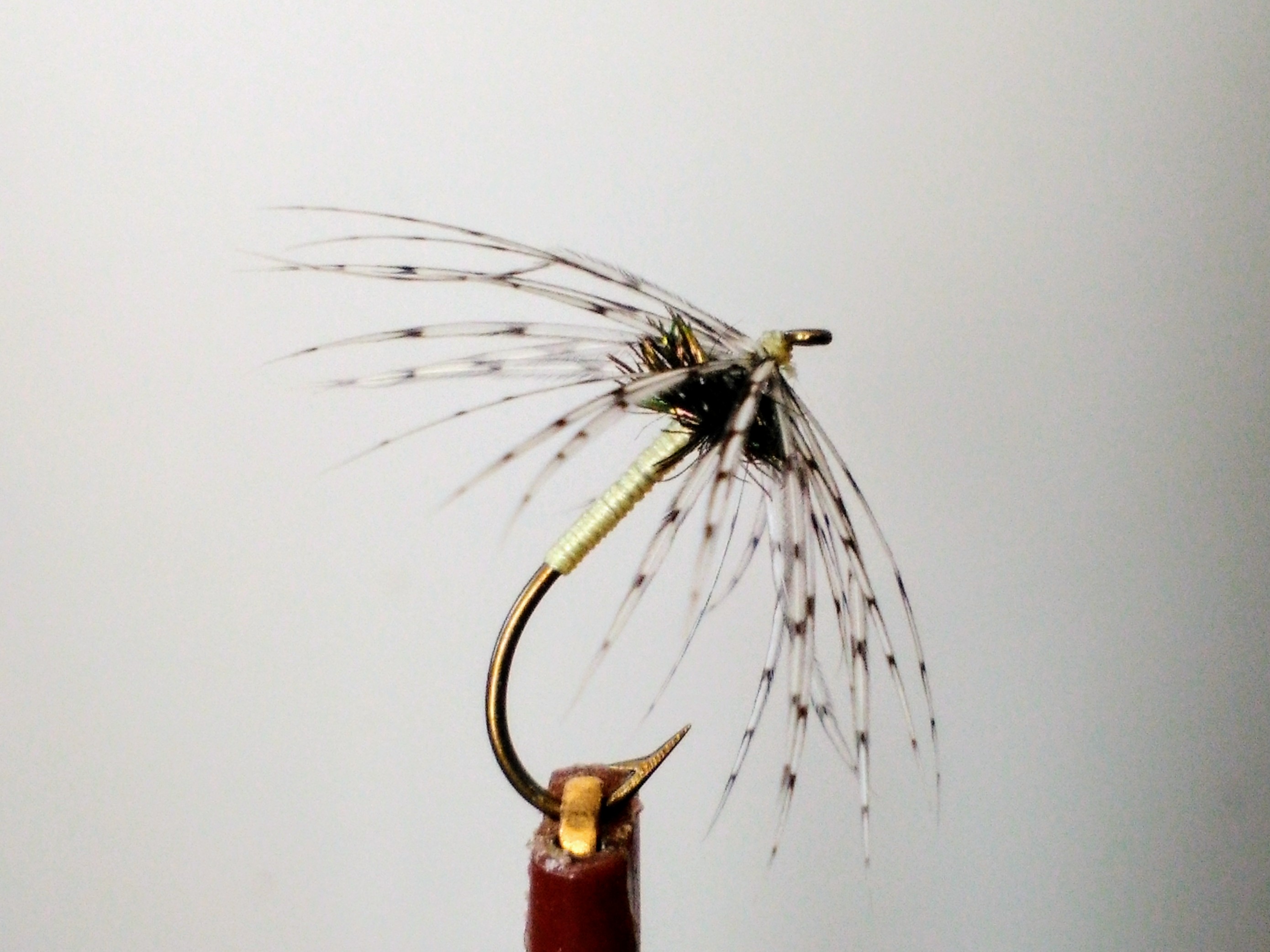 P 20200401 133313 — Postimages