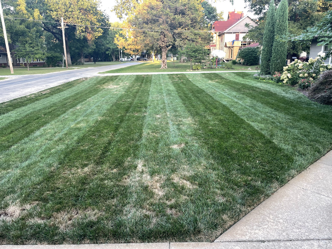 0 C55 BF59 D8 F7 4779 A111 2 AB269 B575 B3 — Postimages