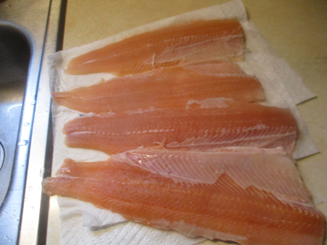 may 3rd 2019 bay 006 — Postimages