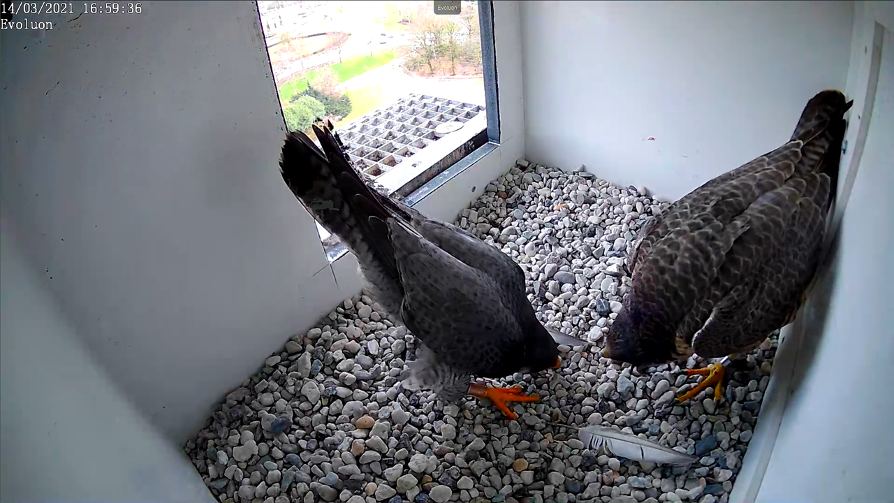 2021 03 14 16 59 41 Window — Postimages