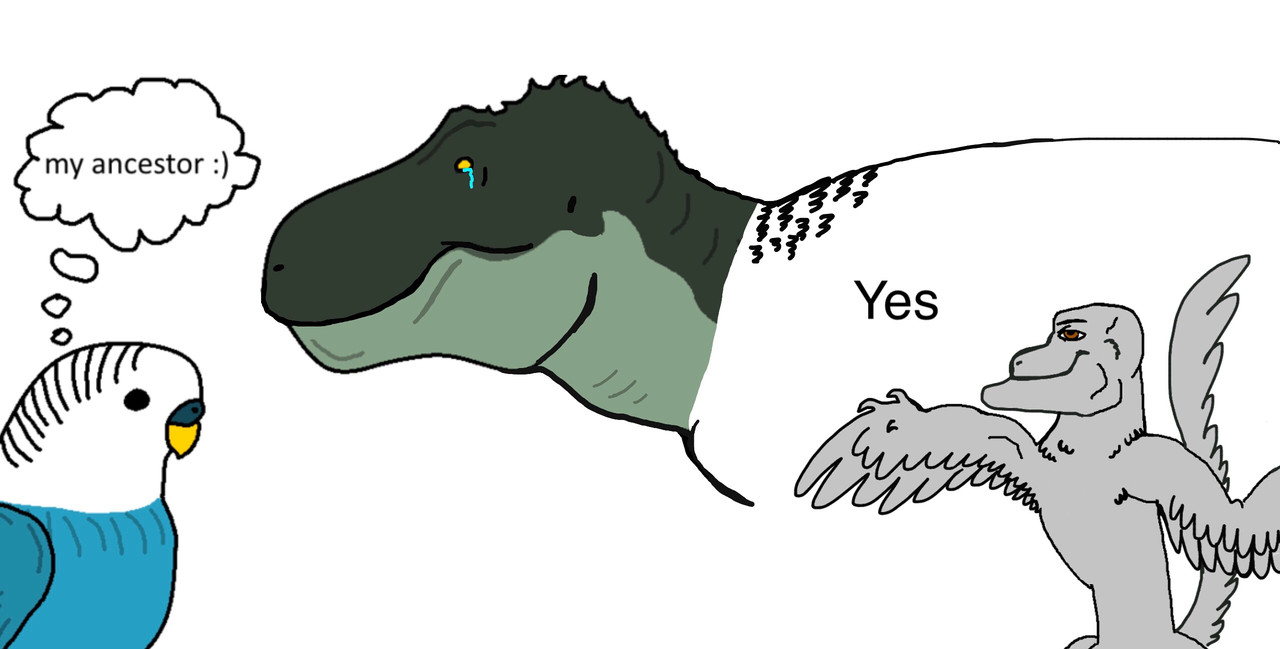 Bird and Dinosaur | My Ancestor :) | Know Your Meme