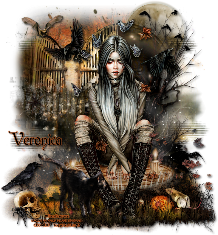 Enys Guerrero Dark Fall Night Veronica — Postimages