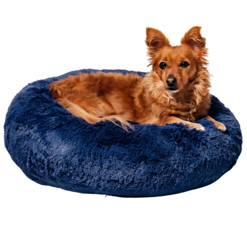 CAMA DONA MAOS PETS S 1 1 — Postimages
