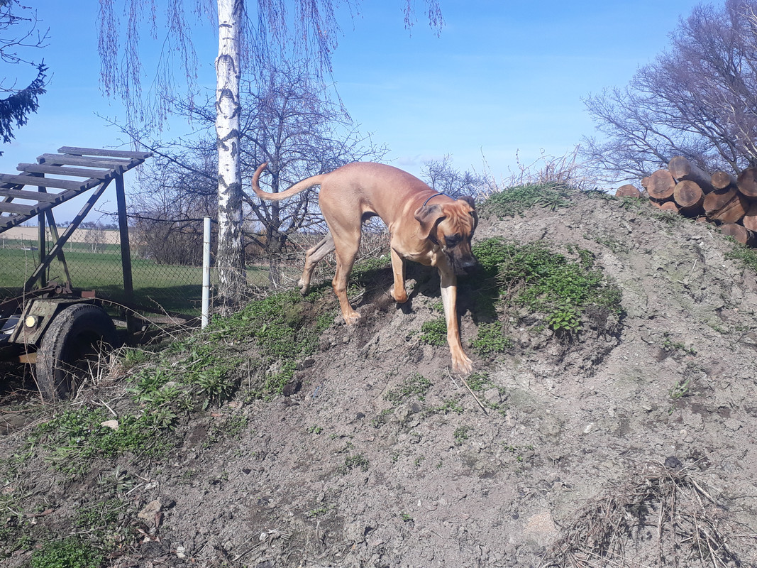 20240311 131711 — Postimages