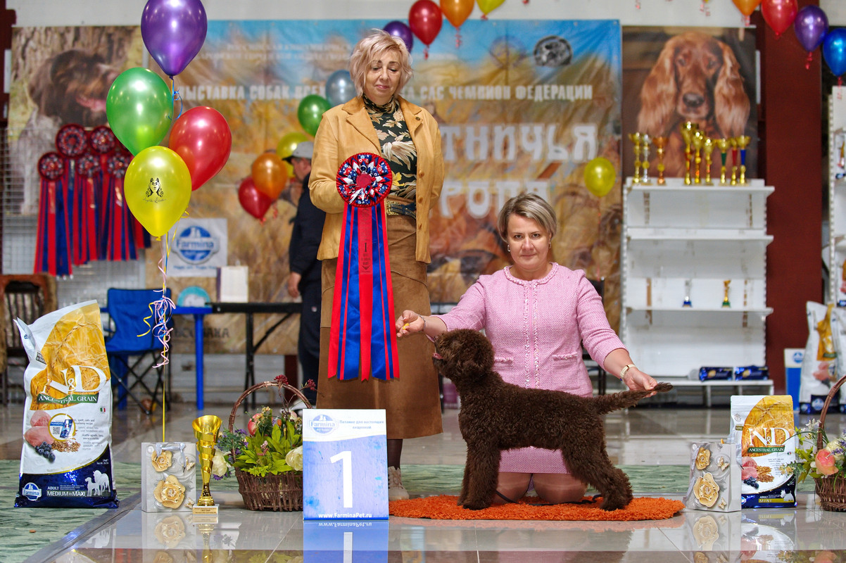 IMG 0123 (1) — Postimages