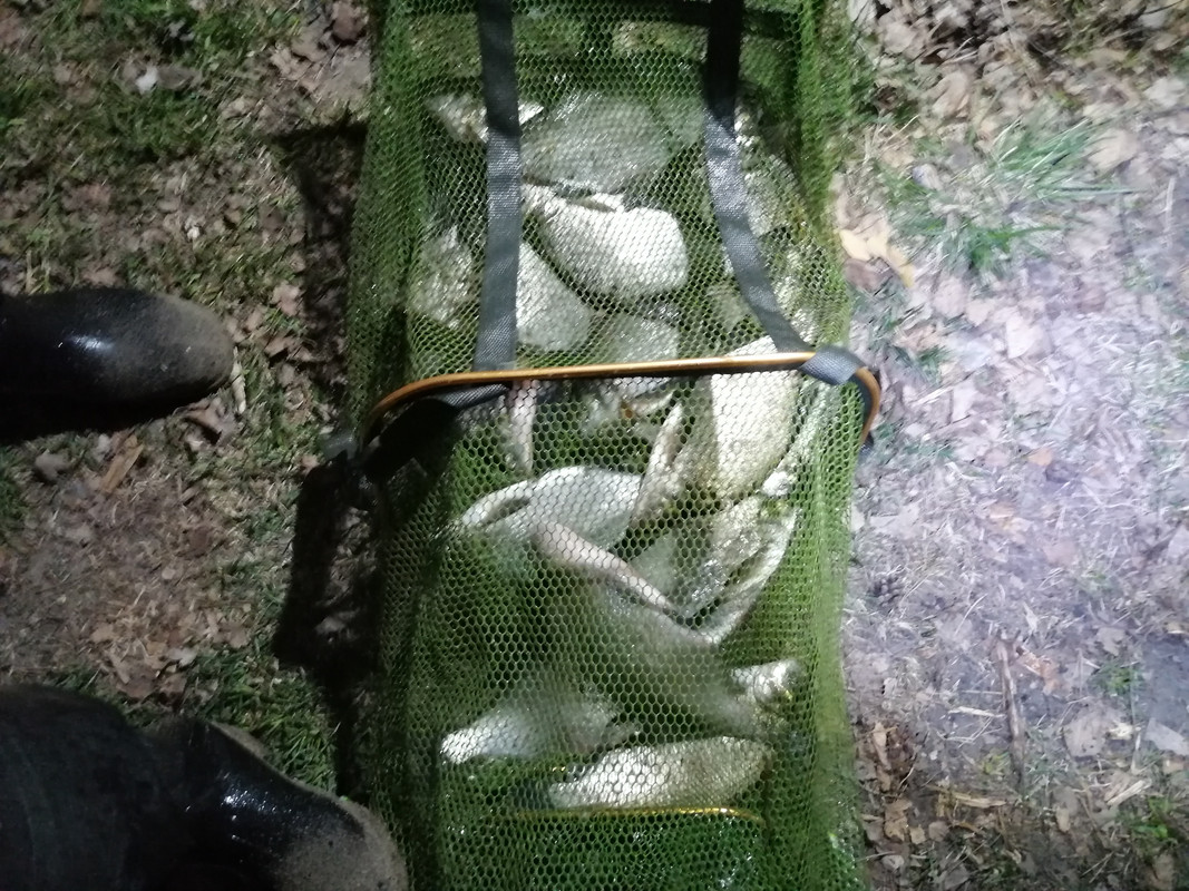 IMG 20230511 033411 — Postimages