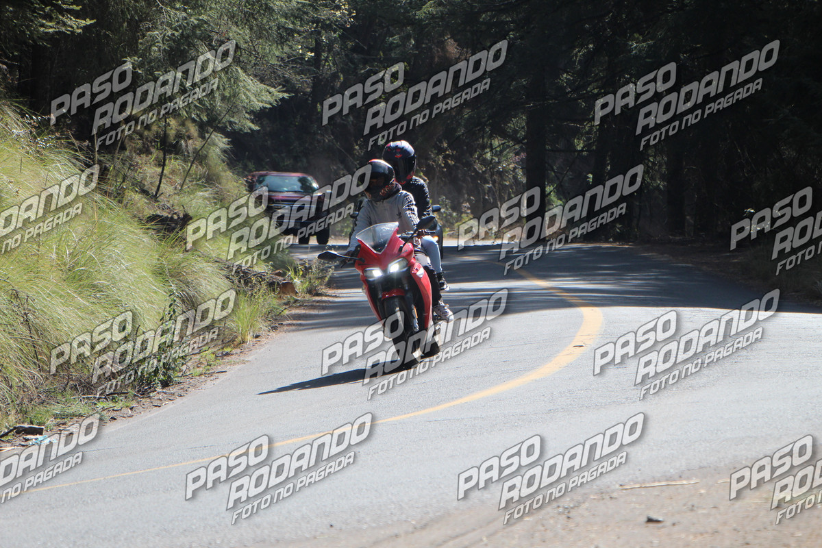 IMG 9059 wm 31587 watermarked — Postimages