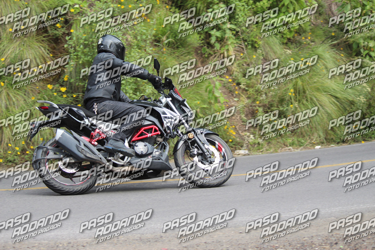 IMG 2543 — Postimages