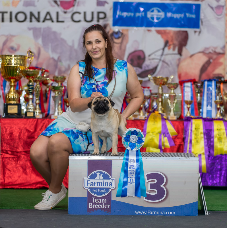 30 1279 — Postimages