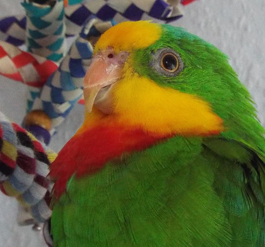 DSCF0072x — Postimages