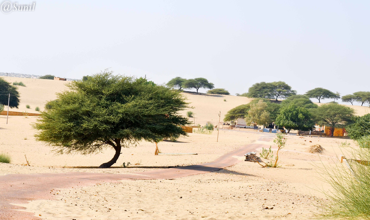 Drive to Munabao, the last Indian Railway Station on the rail link to ...