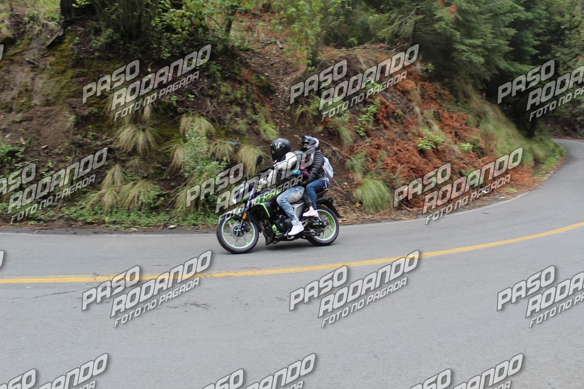 IMG 1095 wm 4377681 watermarked — Postimages