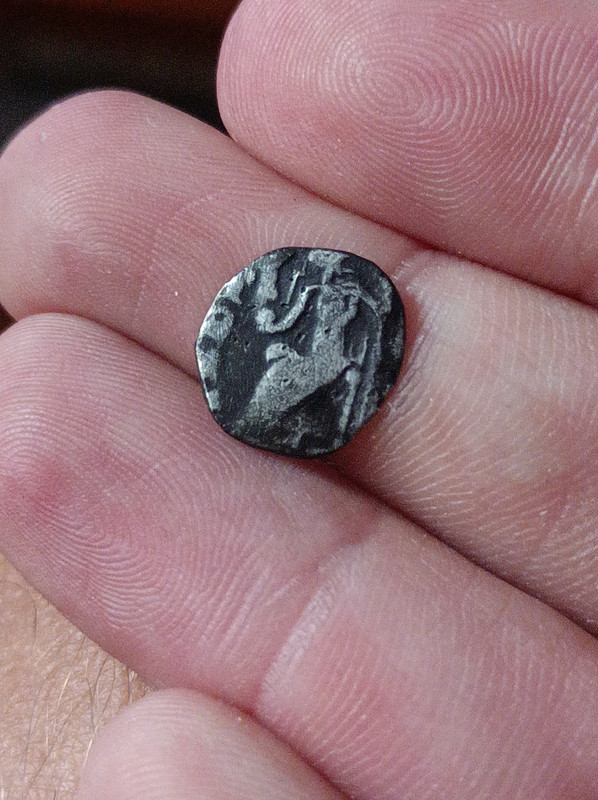 Siliqua imitativa vándala. Recortada