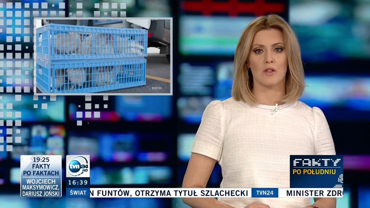 20 05 2020 justyna kosela tvn24 10 — Postimages