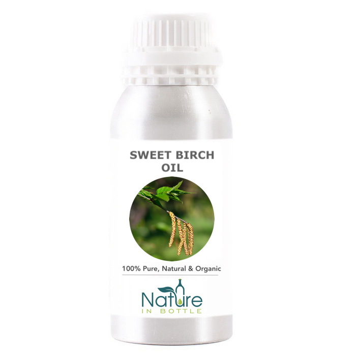 Sweet Birch Essential Oil Organic - Betula Lenta Bark