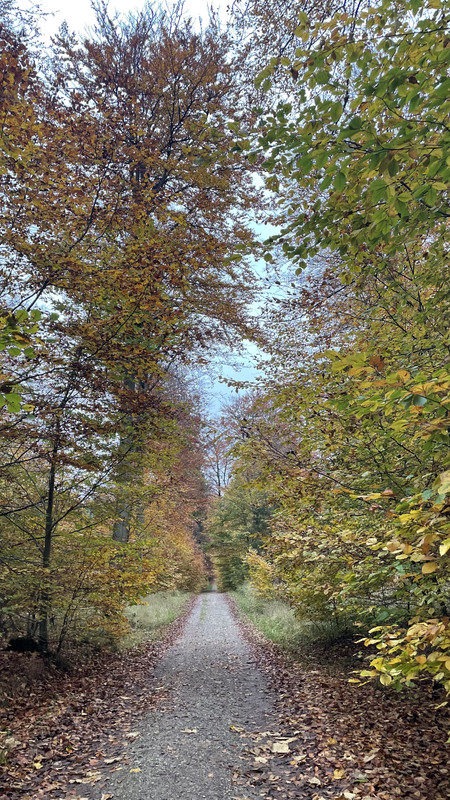 IMG 0113 — Postimages