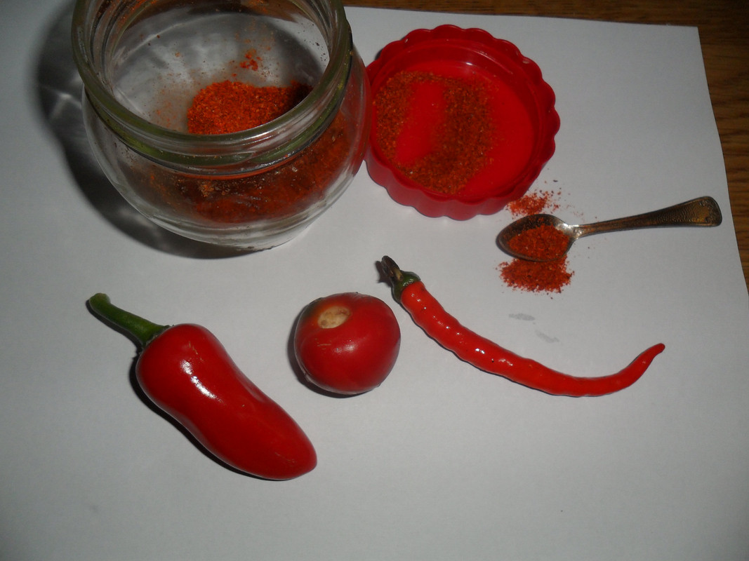 SAM 0294 — Postimages