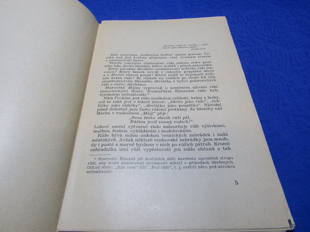 IMG 1802 — Postimages