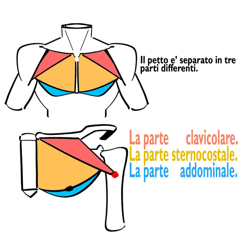 P0437 — Postimages