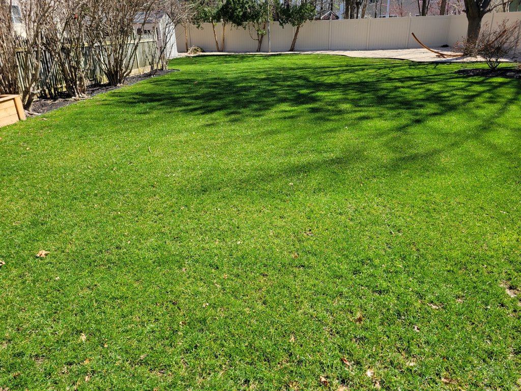 Weeds, tenacity, seed, fert | Lawn Care Forum