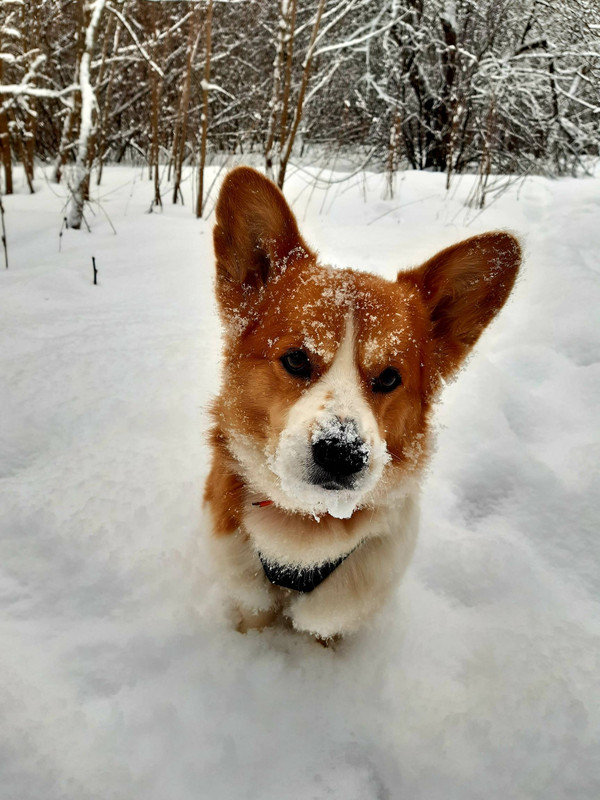 20240106 124614 — Postimages