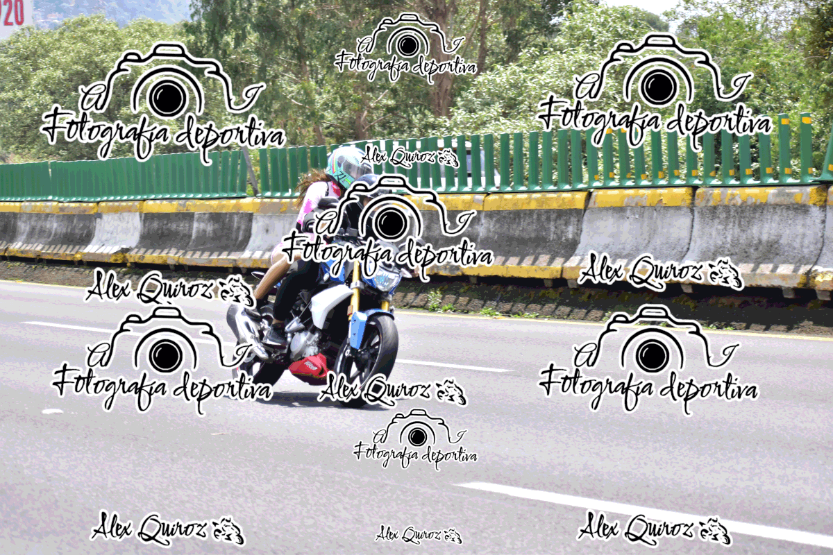 AVQ 8113 — Postimages