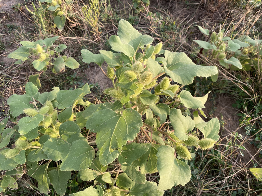 IMG 8640 — Postimages