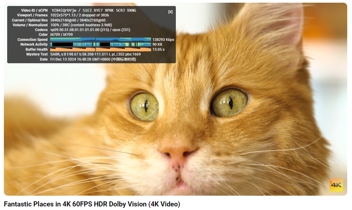 【评测】Cstserver HK 2C2G50G/100MBps $22.4/年（电信CN2）