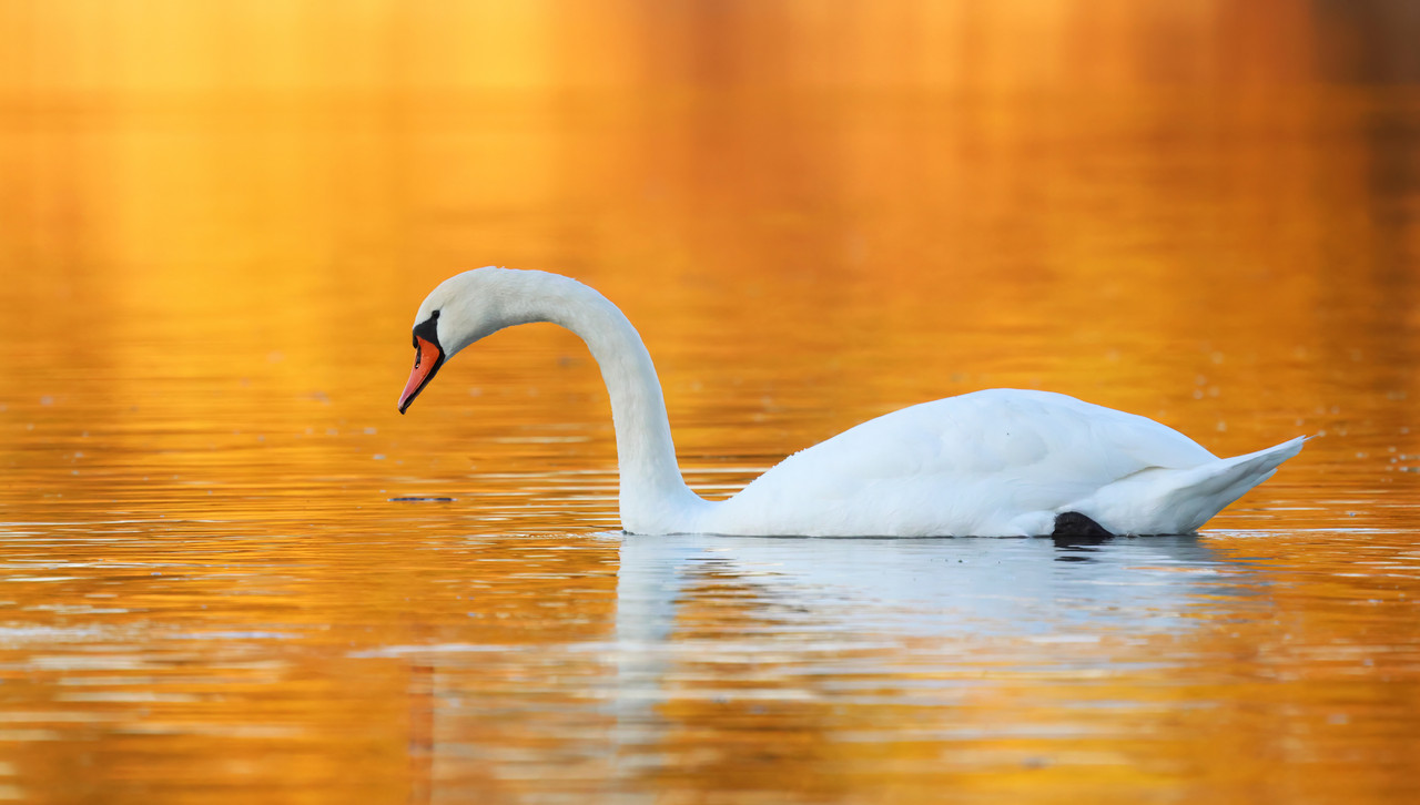 5 E3 A2640 topaz denoise — Postimages