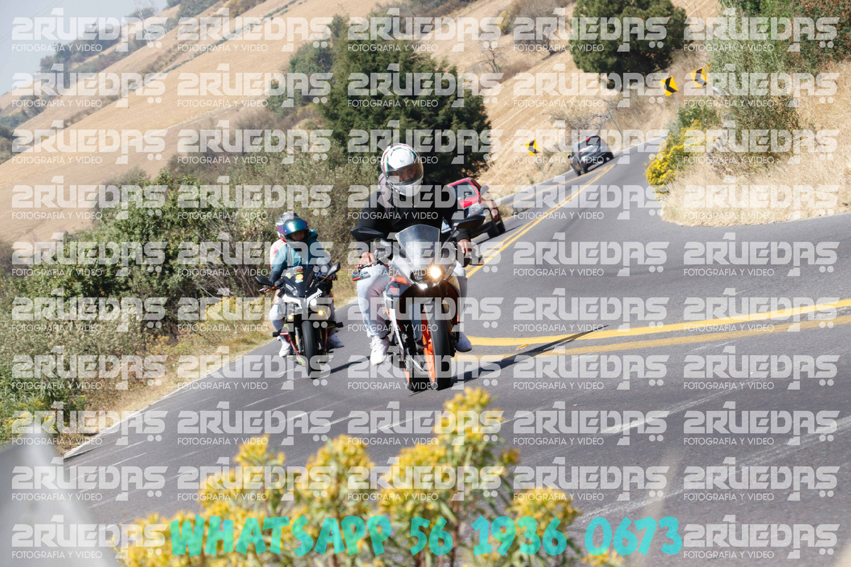 MG 0707 — Postimages