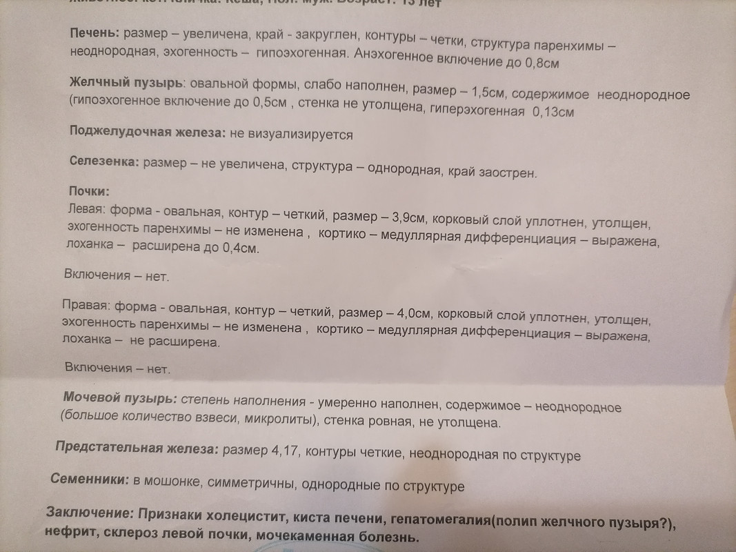 IMG 20220126 232551 — Postimages