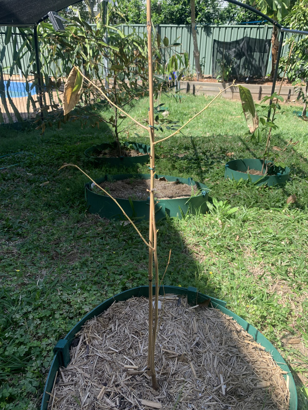 IMG 1150 — Postimages